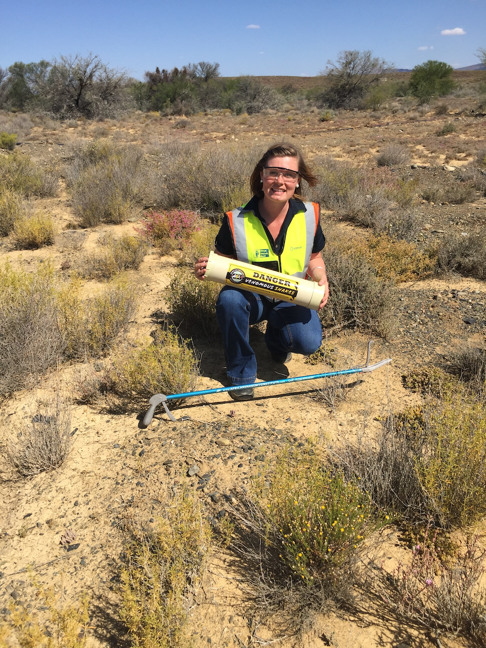 Handling venomous snakes ethically is part of the job when constructing ...