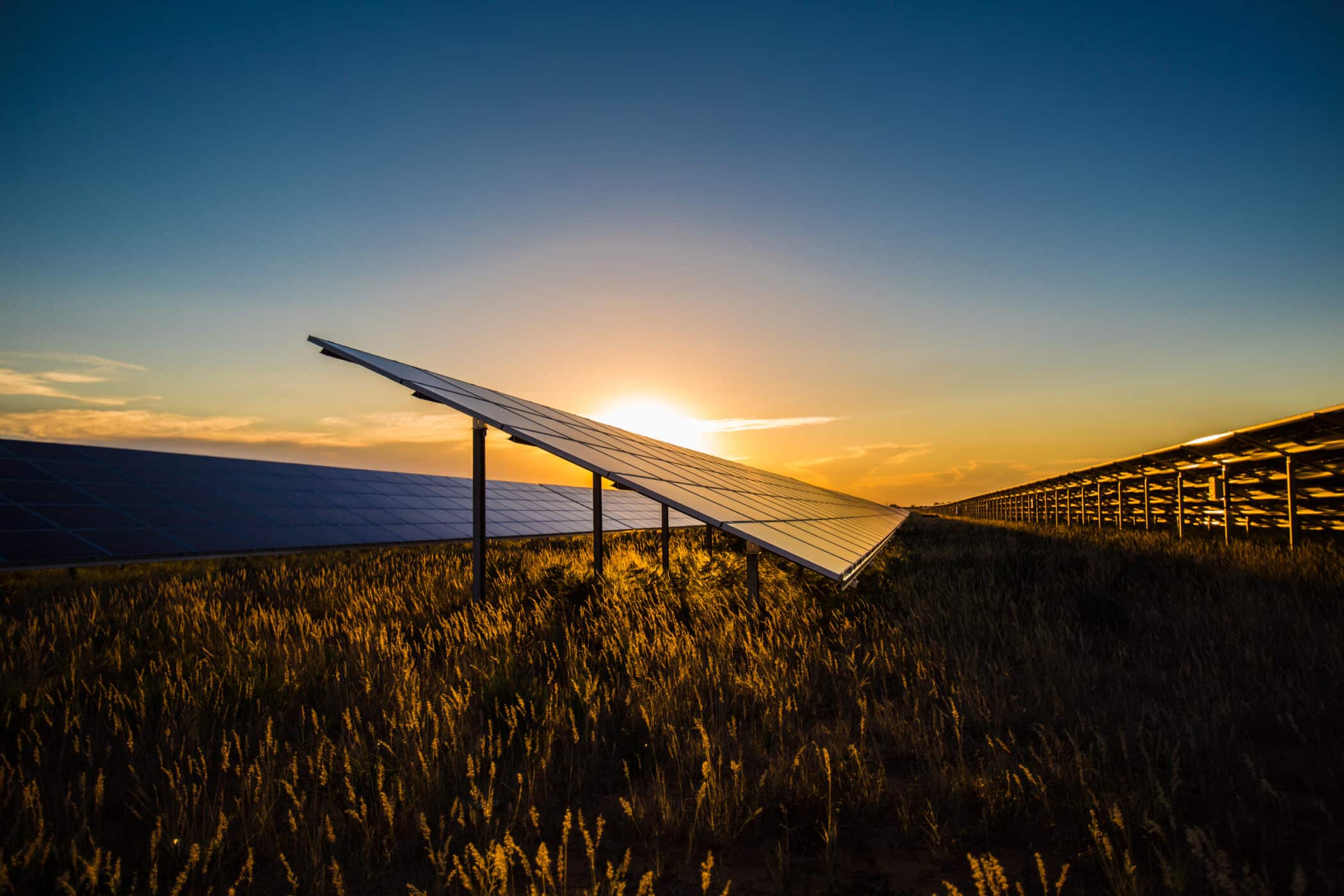 Droogfontein solar park to energise Kimberley area, South Africa ...