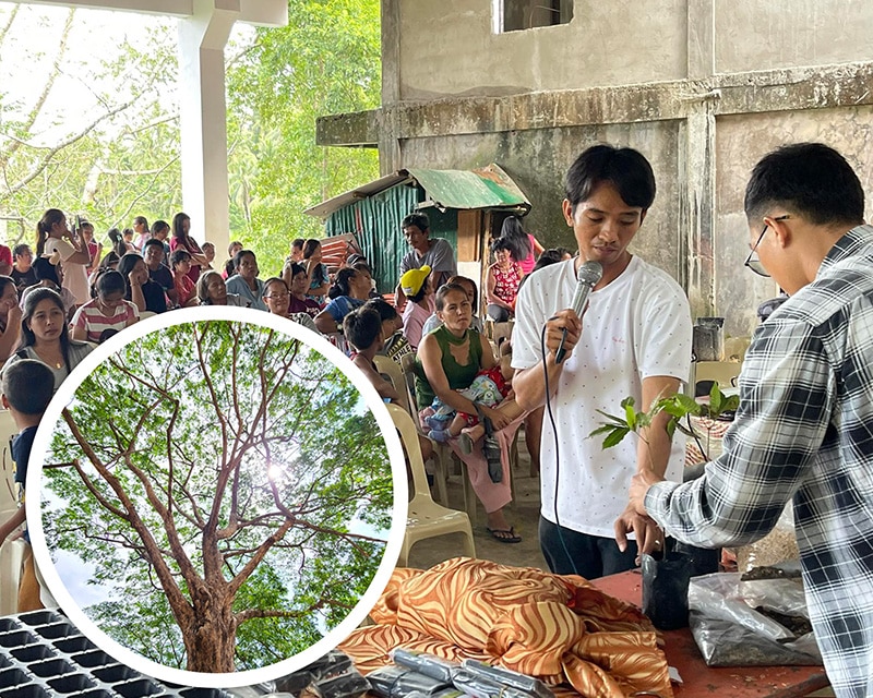 Wind project uses commitment on trees to support local livelihoods ...